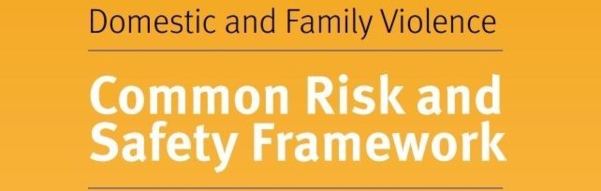 Register now – DFV Common Risk and Safety Framework (CRASF) Level 2 ...