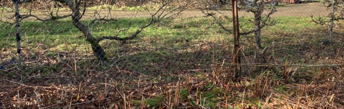 Select tickets – Pruning workshop at Elmete Community Orchard – Elmete ...