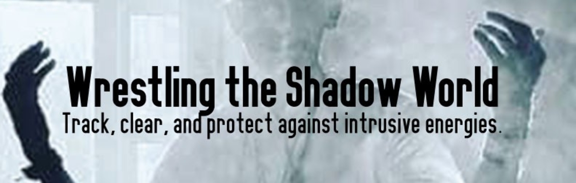Buy tickets – Wrestling the Shadow World - Discover how to track, clear, and protect against ...