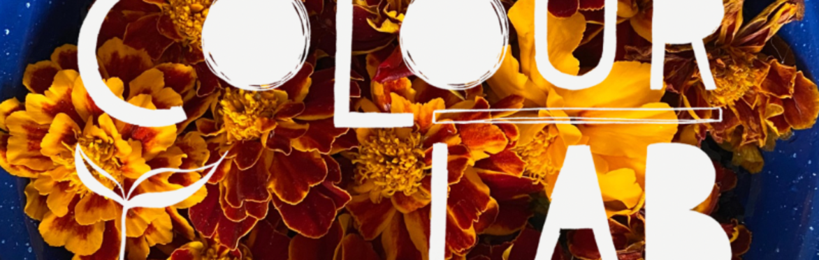 Select tickets – Colour Lab: ﻿Pigment of Your Imagination - A Workshop ...