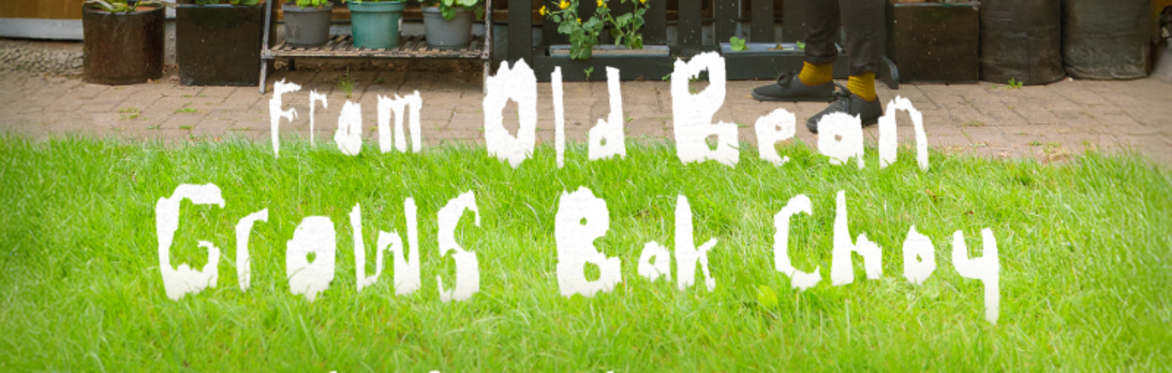 Buy tickets – 【From Old Bean Grows Bak Choy】A Solo Performance about ...