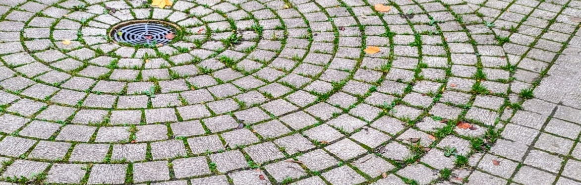 Book now – Active and Playful Numeracy and Maths Outdoors – Microsoft Teams