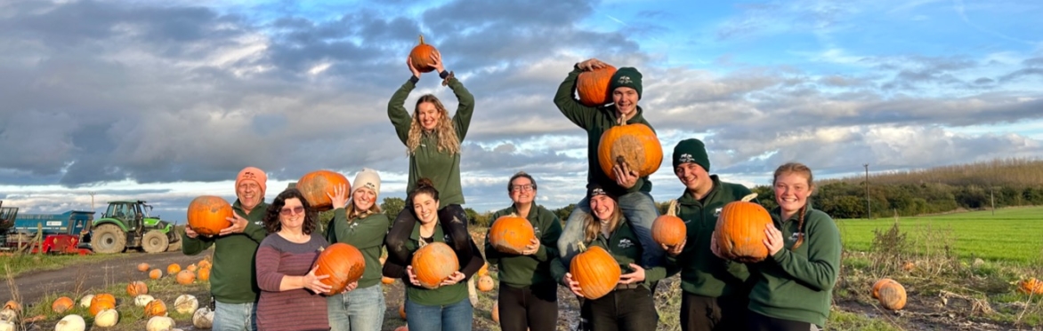 Buy tickets – Pumpkin Picking at Bates Farm – Bates Farm