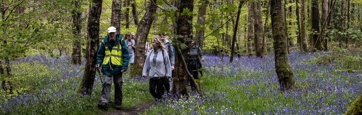 No need to book – GWF 47 Bluebell Walk – Calder Vale by the River Bridge