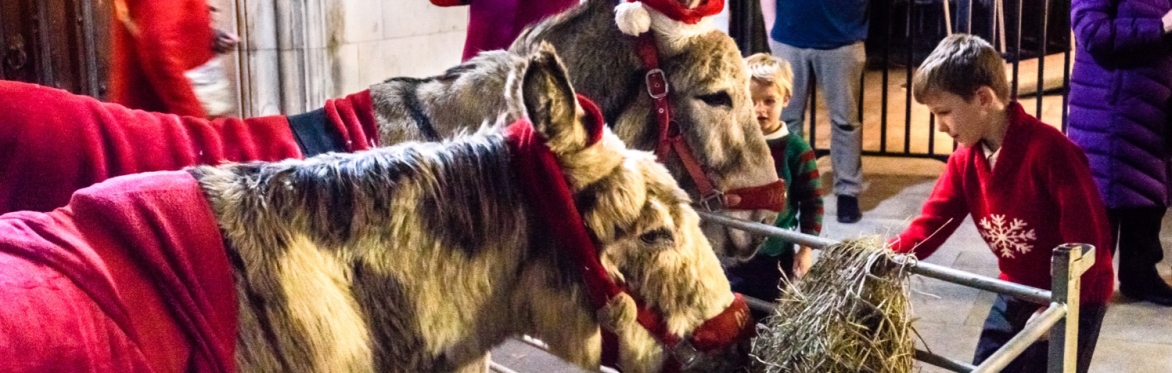 Select tickets – Christmas with Coram – St. Andrew Holborn