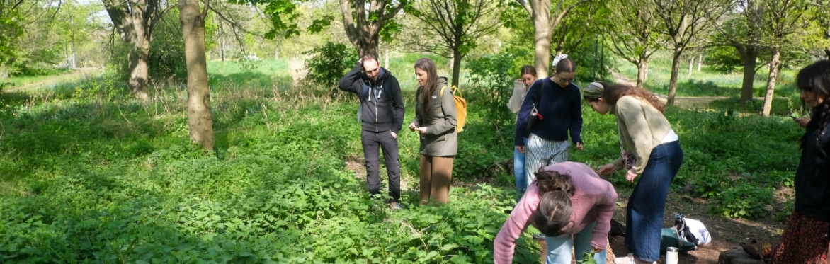 Buy Tickets – Summer Foraging Walk - London – Mile End Park