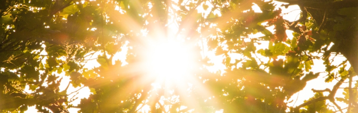 Buy tickets – Summer Solstice Community Celebration – Spring Rise ...