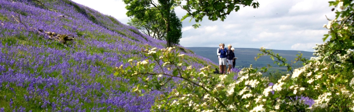 Book your FREE place – AGM 2025 with Guest Speaker Roger Mortlock, CEO ...
