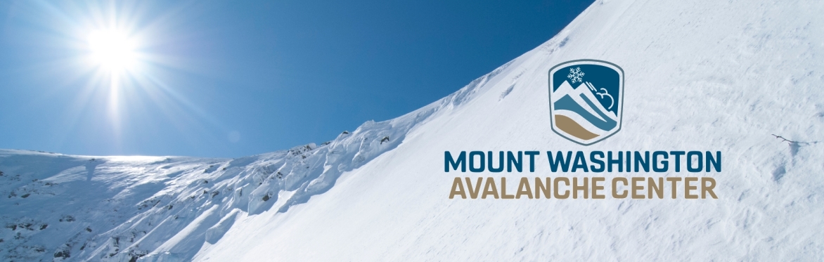 Buy Tickets – 2025 Eastern Snow and Avalanche Workshop – Leura Hill ...