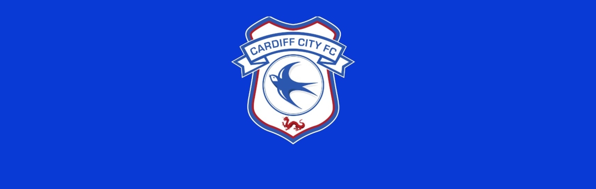 Volunteer Here! – CCFC V Huddersfield Town – Cardiff City Stadium ...