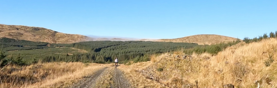 Buy tickets – Forest Trails - Sunday 5th Feb – Scottish Borders