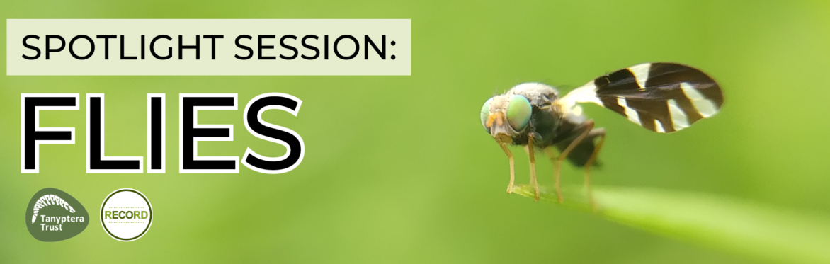 Register – Spotlight Session - Flies (Friday) – Parade Enterprise ...