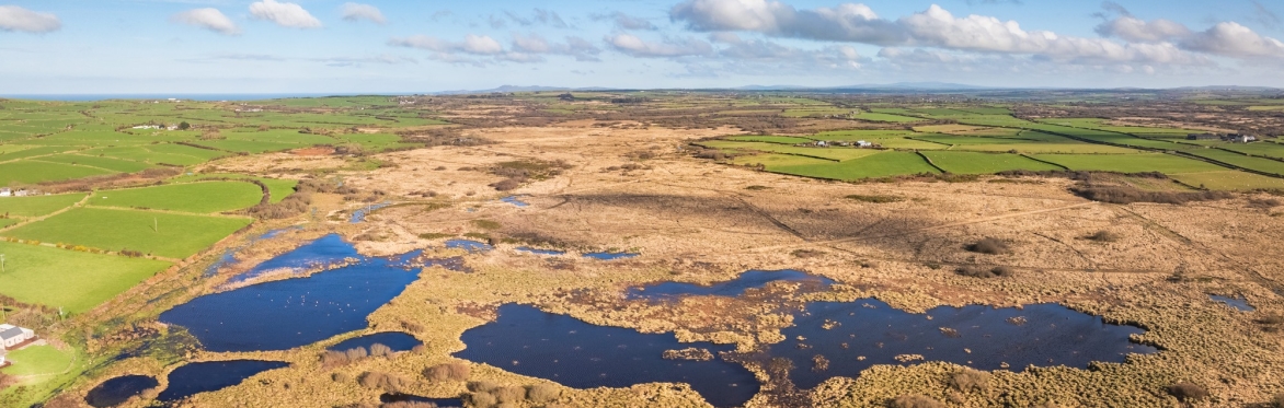 Buy tickets for the IUCN UK Peatland Programme 2026 Conference – IUCN ...