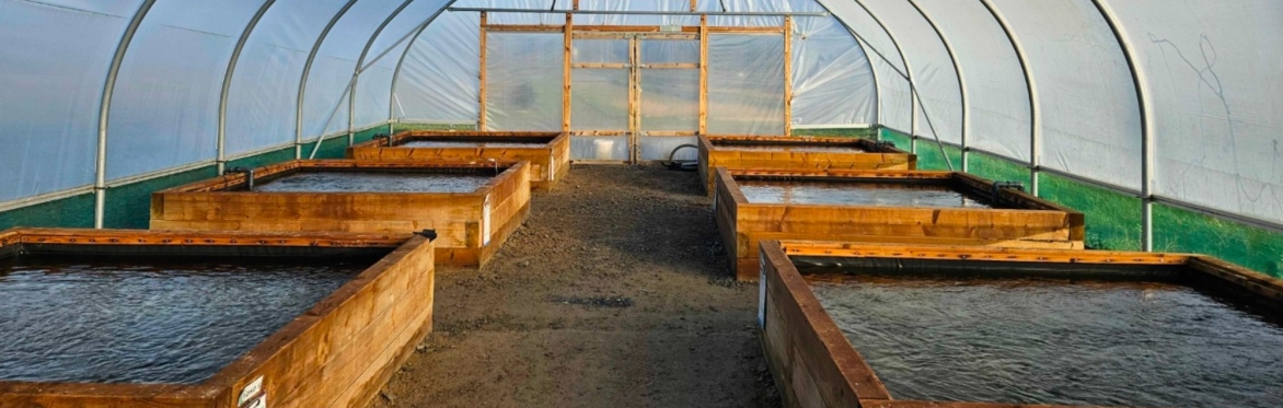 Select tickets – Project Seagrass Nursery Open Day: Connections Day ...