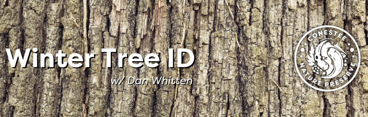 Buy Tickets – Winter Tree ID with Dan Whitten