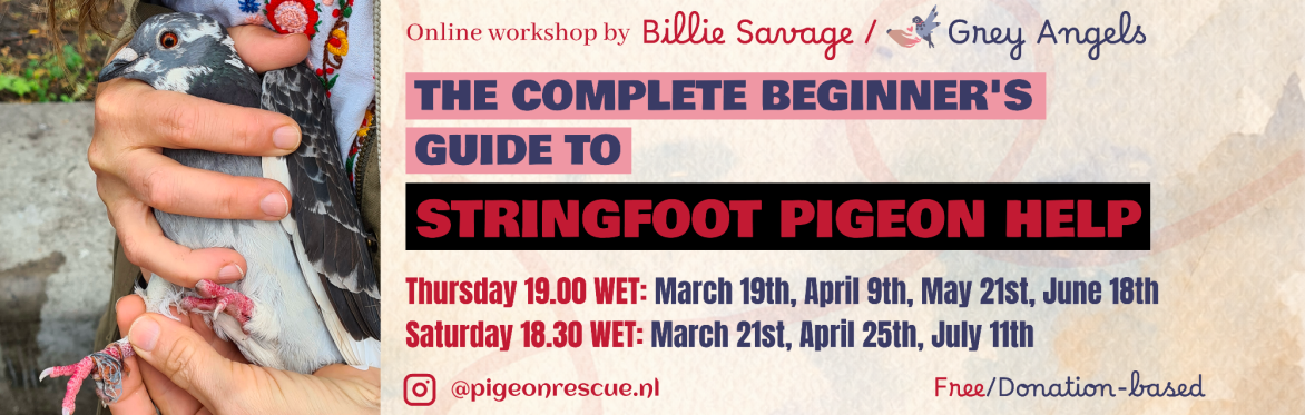 Reserve a spot – The Complete Beginner's Guide to Stringfoot Pigeon ...