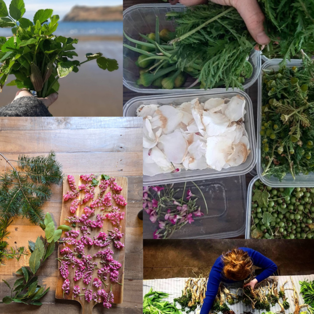Buy tickets – Enchanted Forage – Zen at the glen