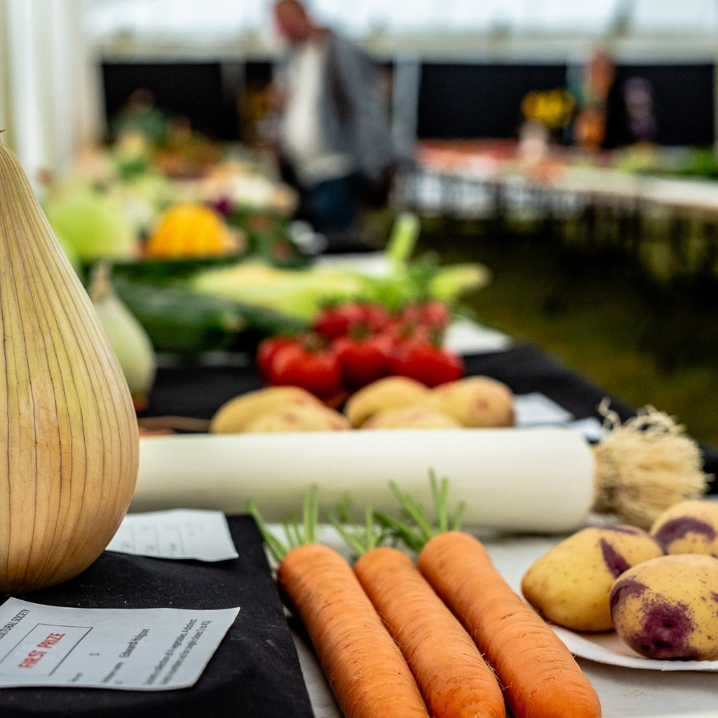 Select tickets – Swallowfield Show – Swallowfield Park