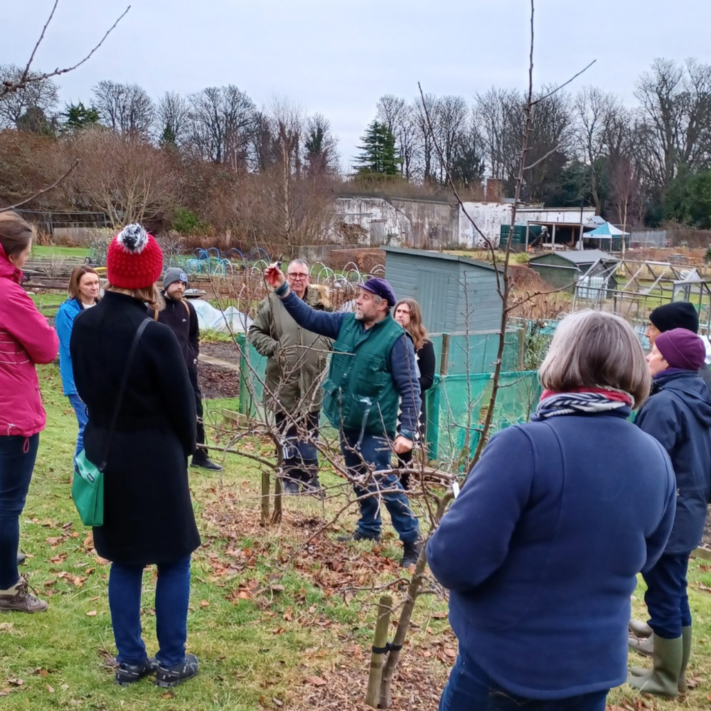 Book now – Climate Friendly Gardens – winter fruit tree pruning and ...