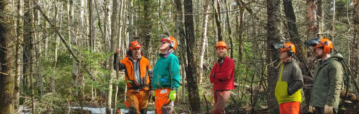 Register – Game of Logging with Northeast Woodland Training – Johnson, VT