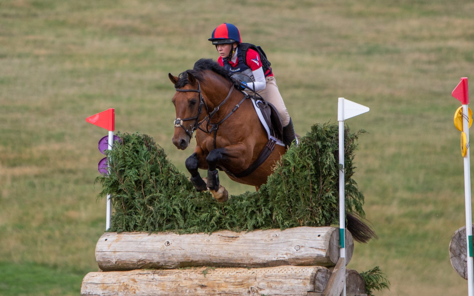 Buy tickets – Eventing Unlocked: The Journey From Warm Up to ...