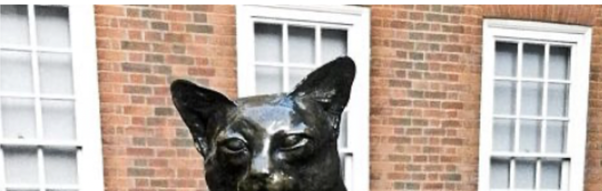 Buy tickets – The Cat Walk – 17 Gough Square
