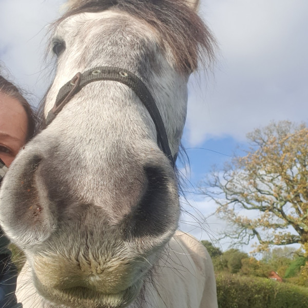 Buy tickets – Equine Grass Sickness Fund Conference – Moredun Research ...
