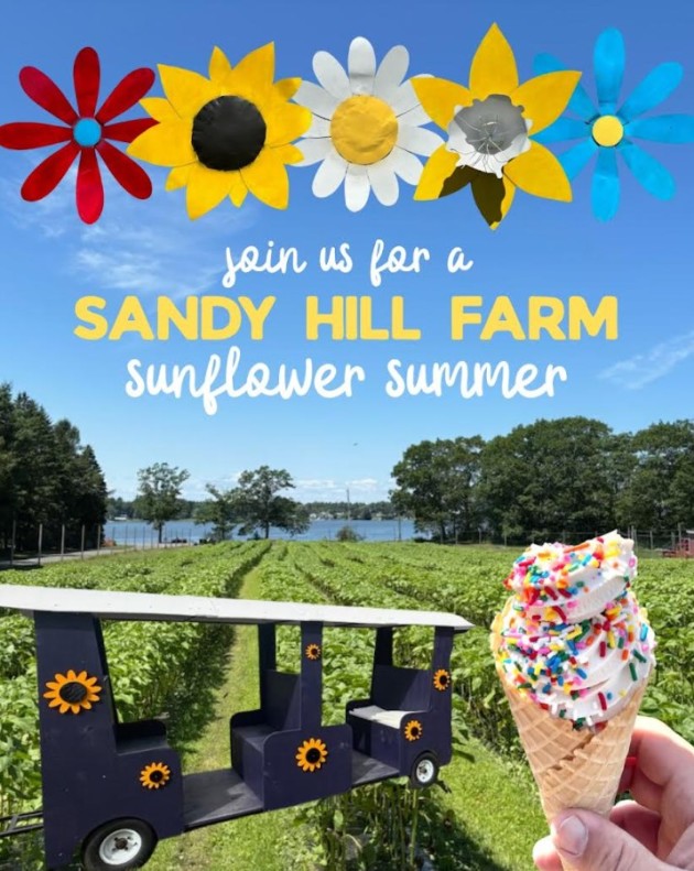 Buy tickets – Sunflower Summer at Sandy Hill Farm – Sandy Hill Farm