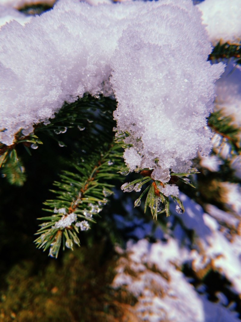 Book a space – 'Meeting the Cailleach' Winter Women's Circle – Unit 2 ...