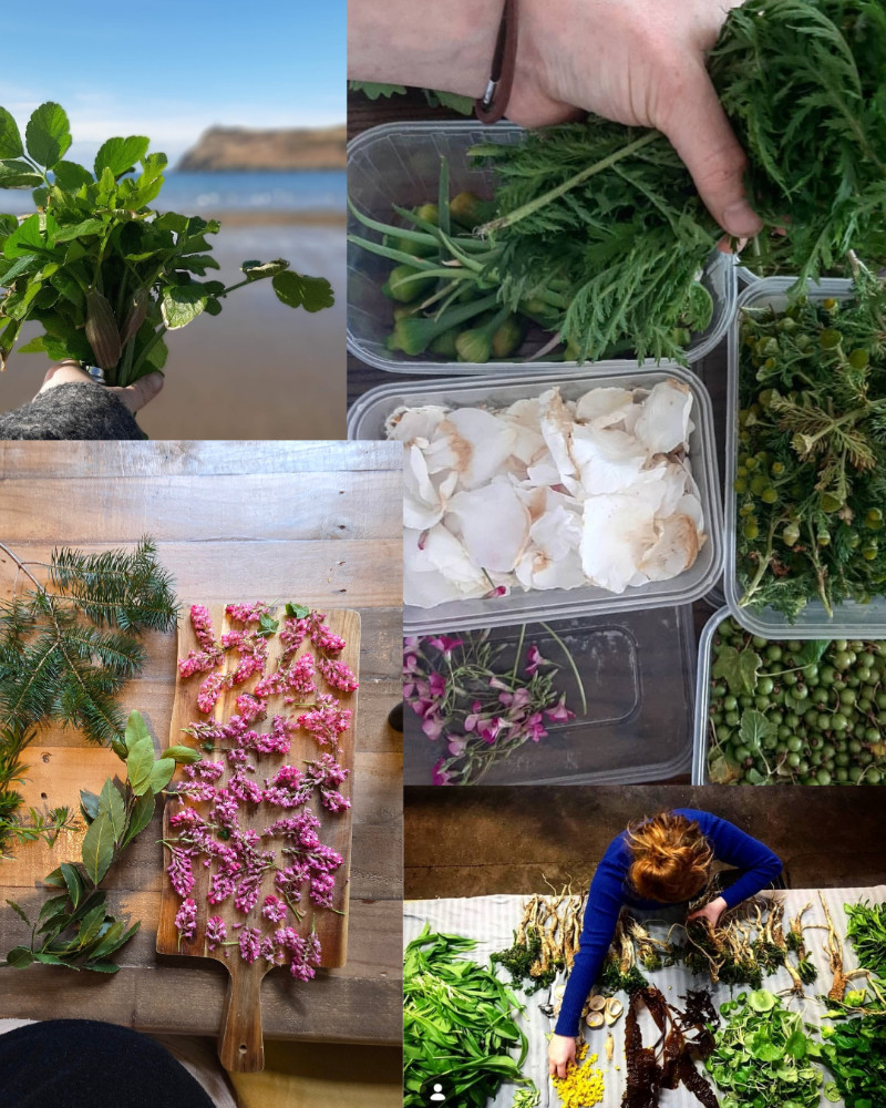 Buy tickets – Enchanted Forage – Zen at the glen
