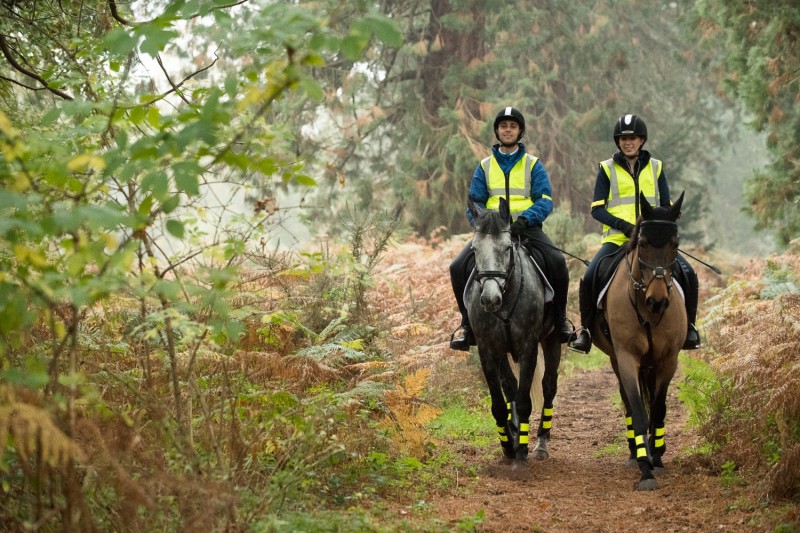 Buy tickets – Ride Safe Training Day For BHS Accredited Professional ...