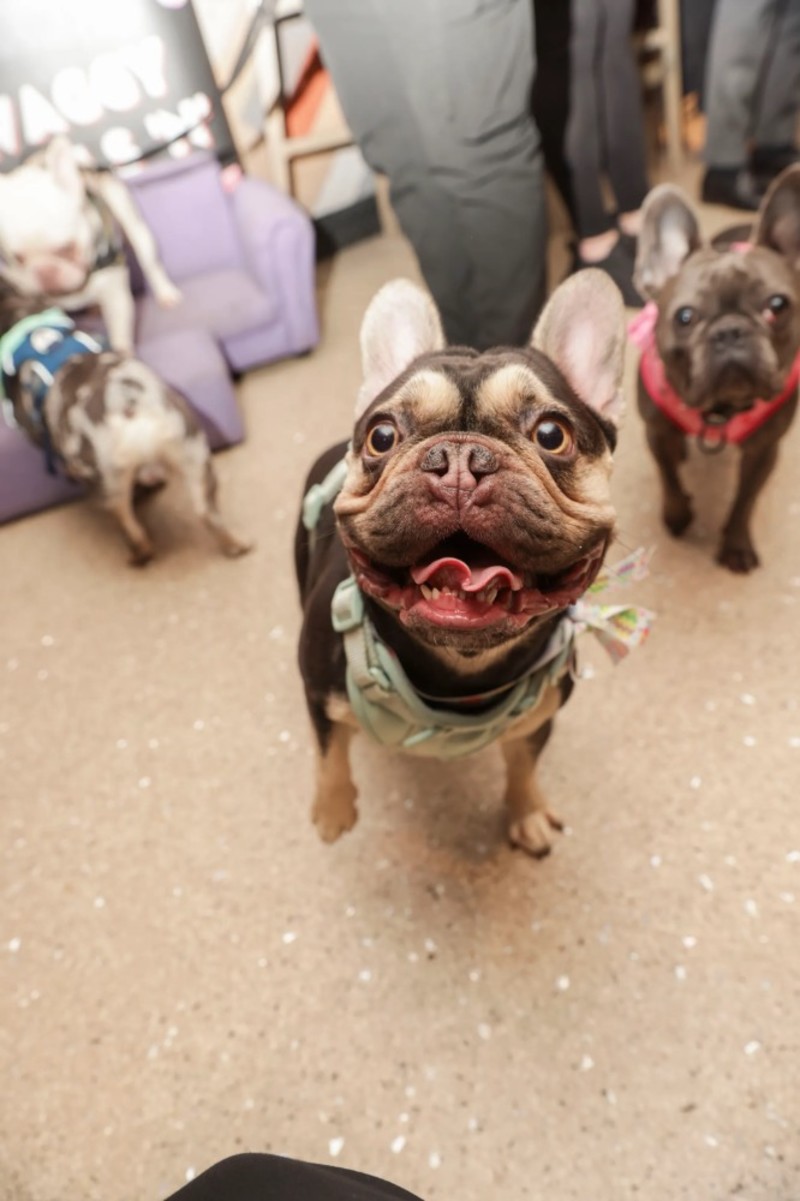 BUY TICKETS NOW – Frenchie Cafe - London – The Happenstance