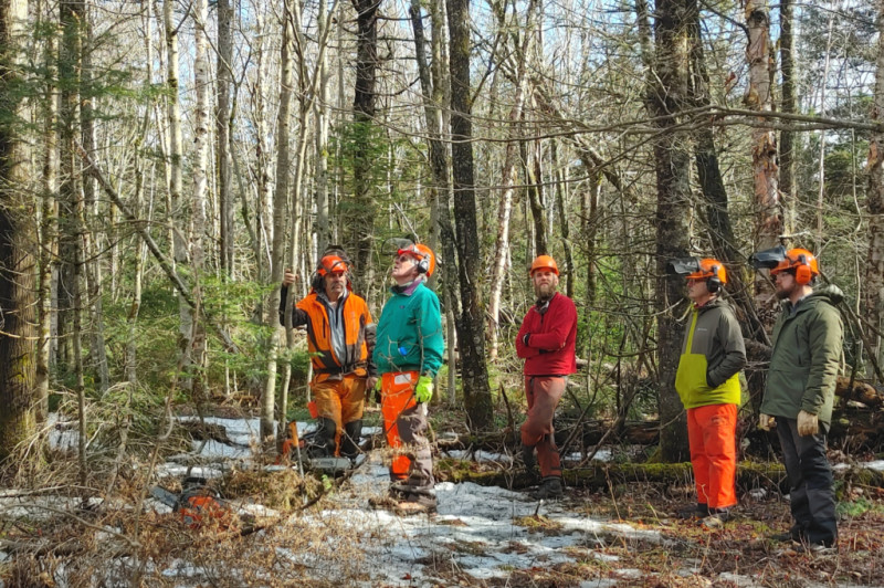 Register – Game of Logging with Northeast Woodland Training – Johnson, VT