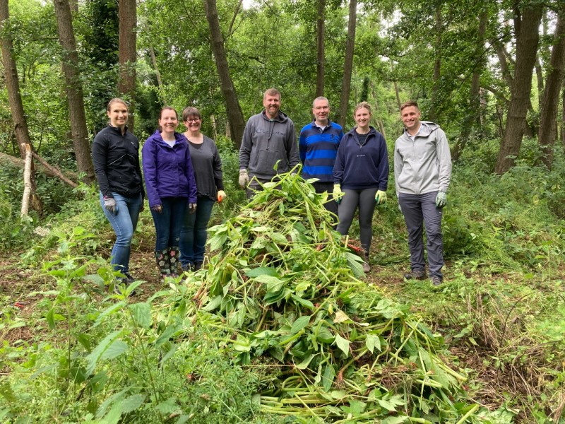 Select tickets – Volunteering at Pierrepont Farm – Pierrepont Farm