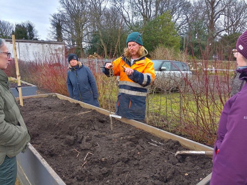 Book now – Winter Fruit Tree Maintenance – Ravenscraig Walled Gardens