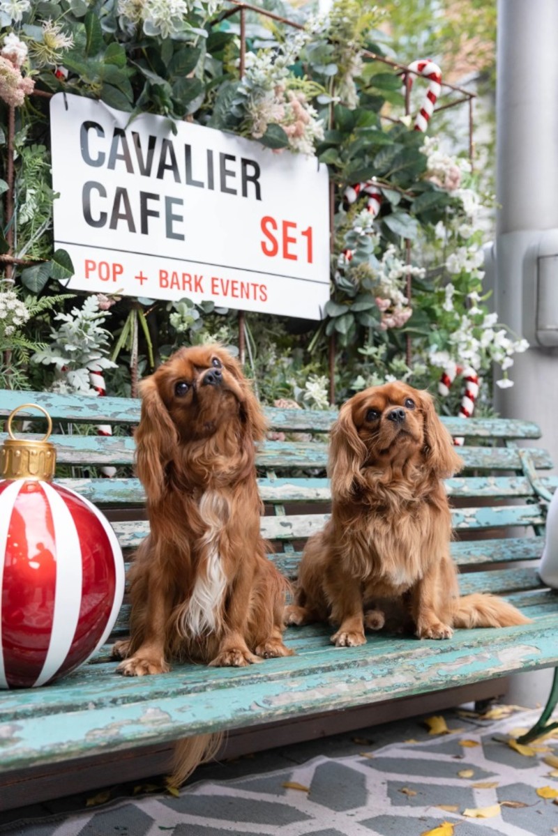 BUY TICKETS NOW – Cavalier Cafe Christmas - Leeds – Revolucion de Cuba ...