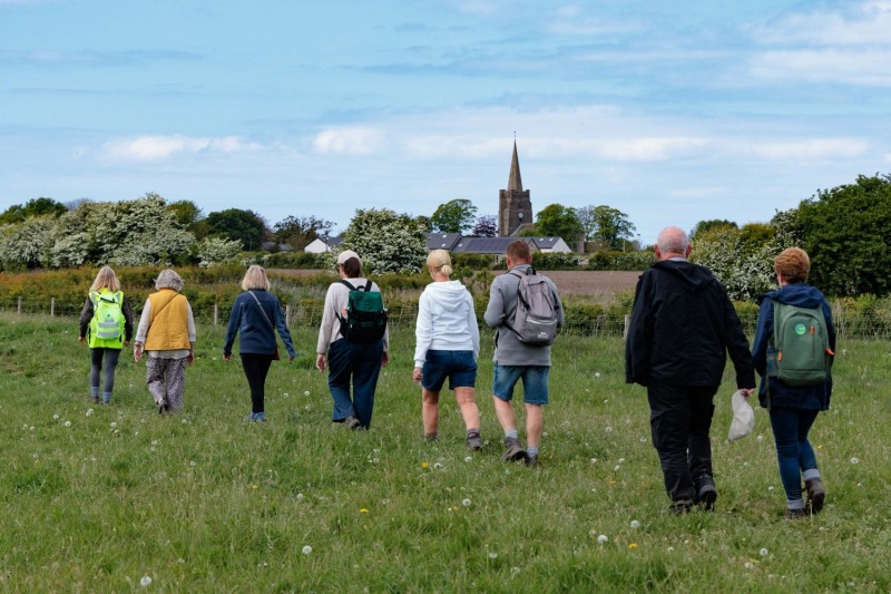No need to book just turn up – G6.4 The Reed Buntings Return – Pilling ...