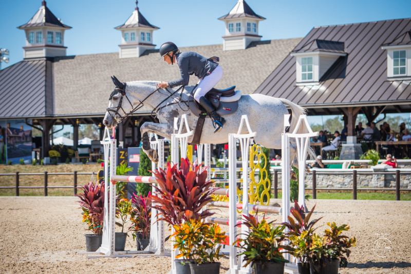 Purchase VIP Tickets – TerraNova Hunter/Jumper GRAND PRIX - Week 1 ...