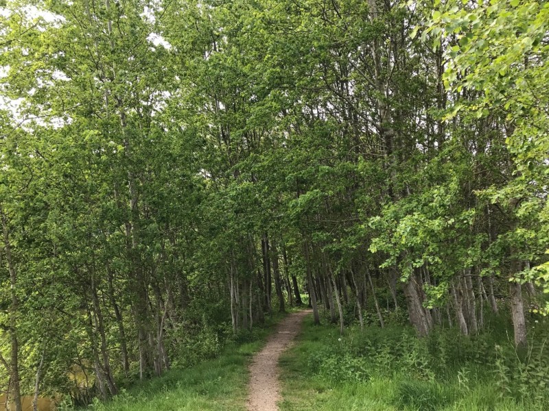 No Need To Book Just Turn Up – G6.5 Pilling Short Walk – Pilling ...
