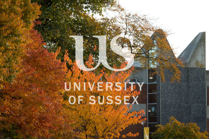 Select tickets – Economics Departmental Seminar: Professor Imran Rasul ...