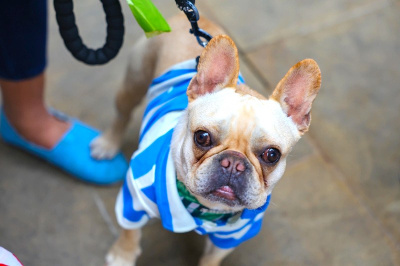BUY TICKETS NOW – Frenchie Cafe - London – The Happenstance