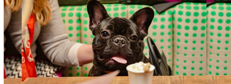 BUY TICKETS NOW – FRENCHIE CAFE™ EDINBURGH – Revolution Edinburgh
