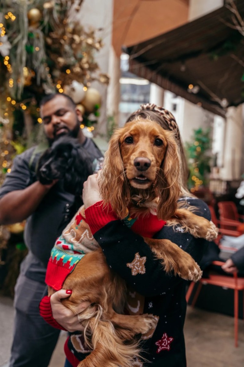 BUY TICKETS NOW – Cocker Spaniel Cafe - Oxford – Slug and Lettuce