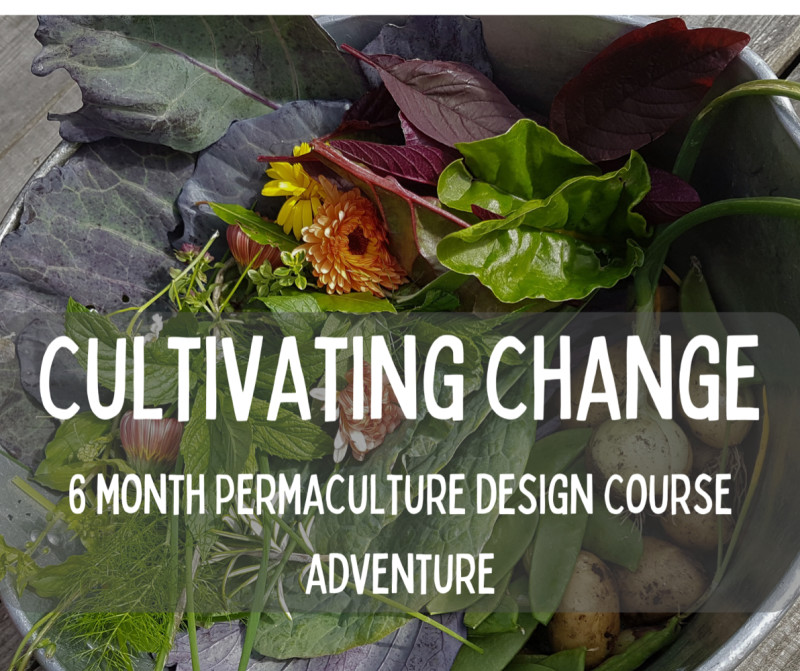 Buy tickets – Cultivating change - 6 month Permaculture design course ...
