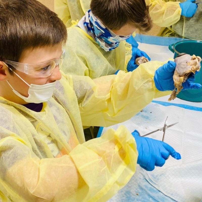 Buy tickets – Discovering Anatomy Series – Experience Anatomy