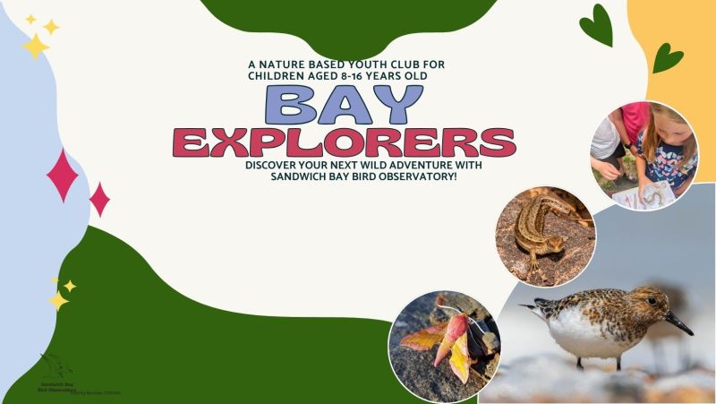 Book – Bay Explorers Monthly Nature Youth Club – Sandwich Bay Bird ...