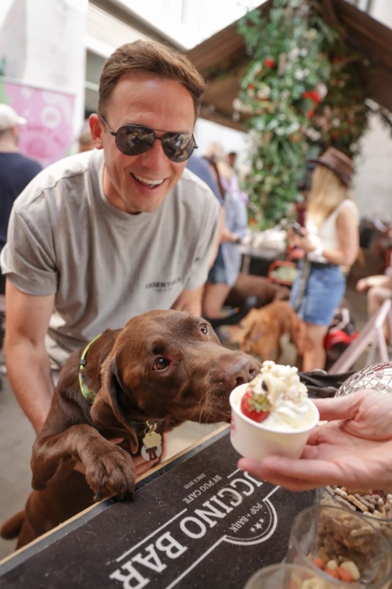 BUY TICKETS NOW – Labrador Cafe - Chelmsford – Slug and Lettuce