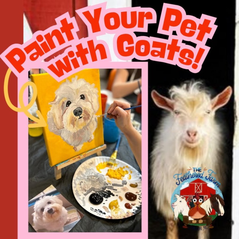 Reserve your spot! – Paint Your Pet- A Painting With Goats event for ...