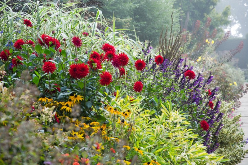 Book a place – Behind the scenes at Great Dixter - October – Great ...