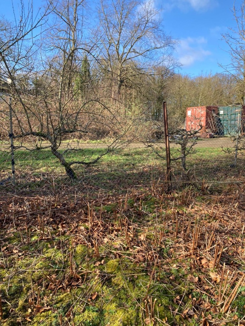Select tickets – Pruning workshop at Elmete Community Orchard – Elmete ...